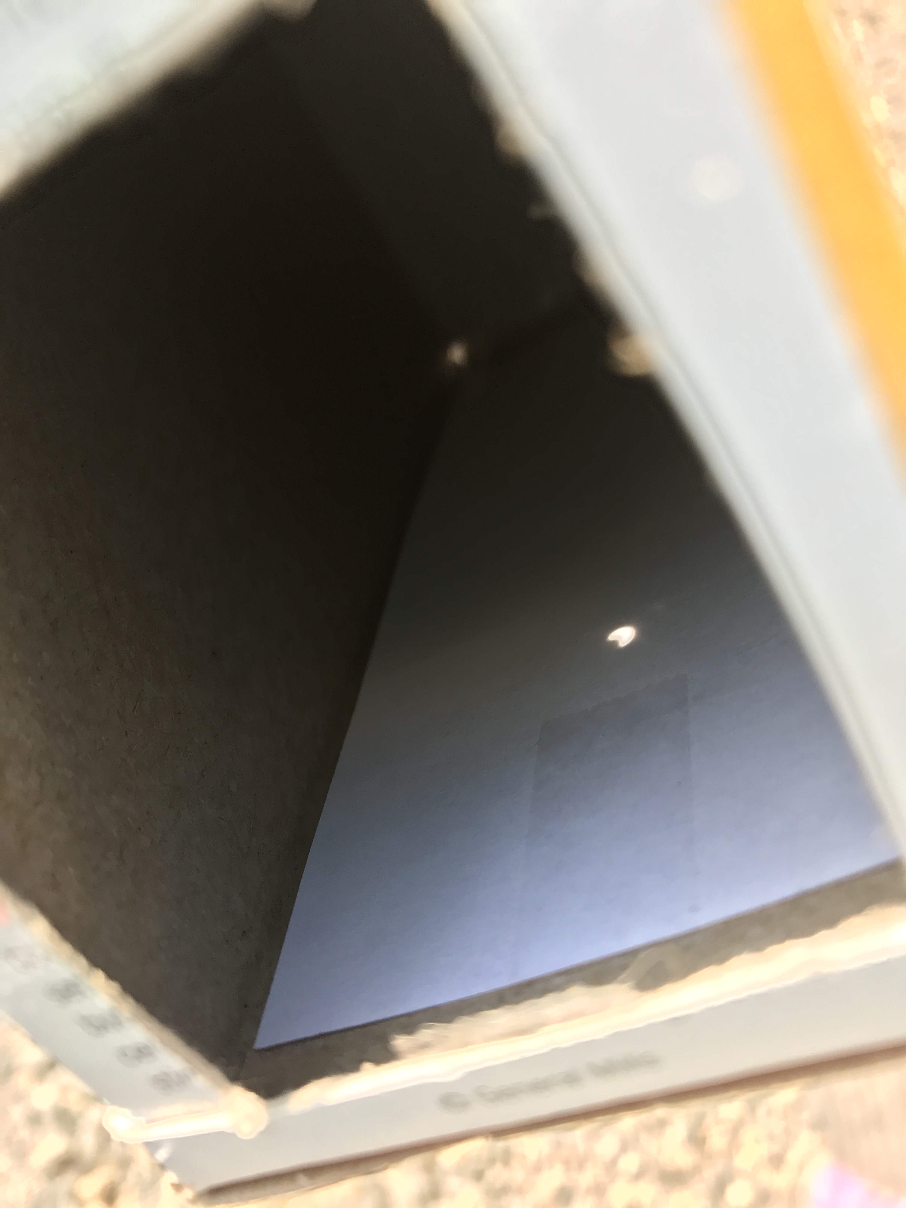 We Survived the Eclipse: Story Through Photos and Haiku | Love ...