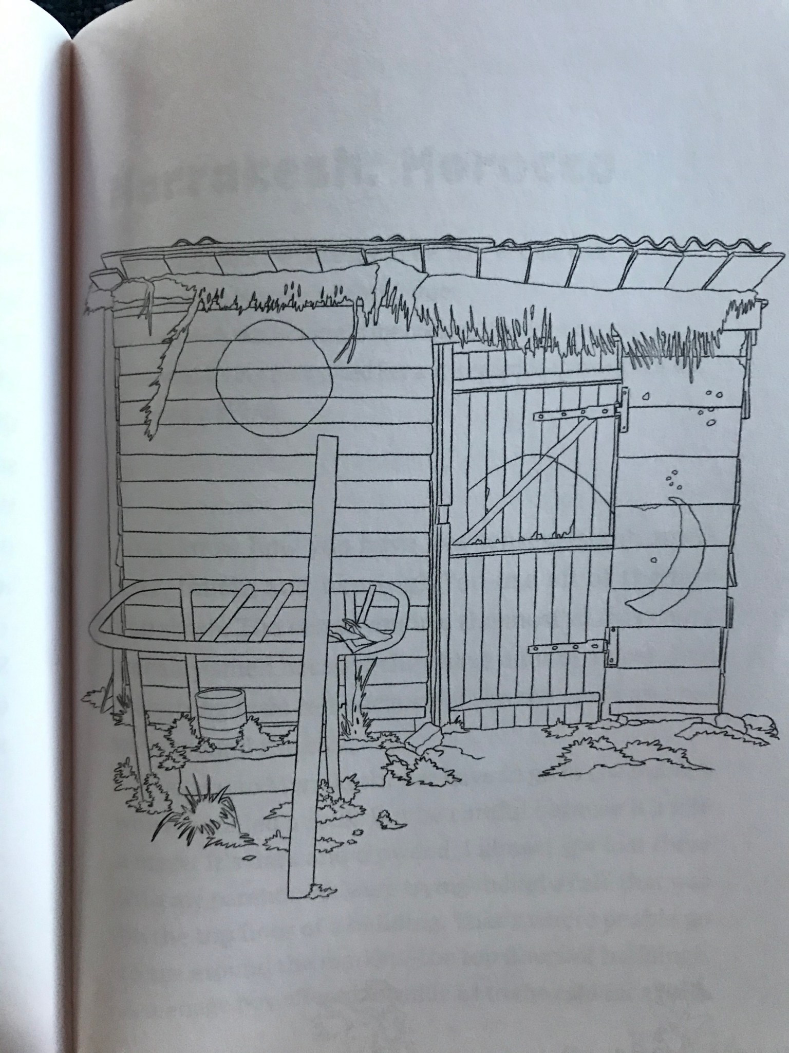 Book Review: Backpacks and Baguettes, Coloring the World through Young ...
