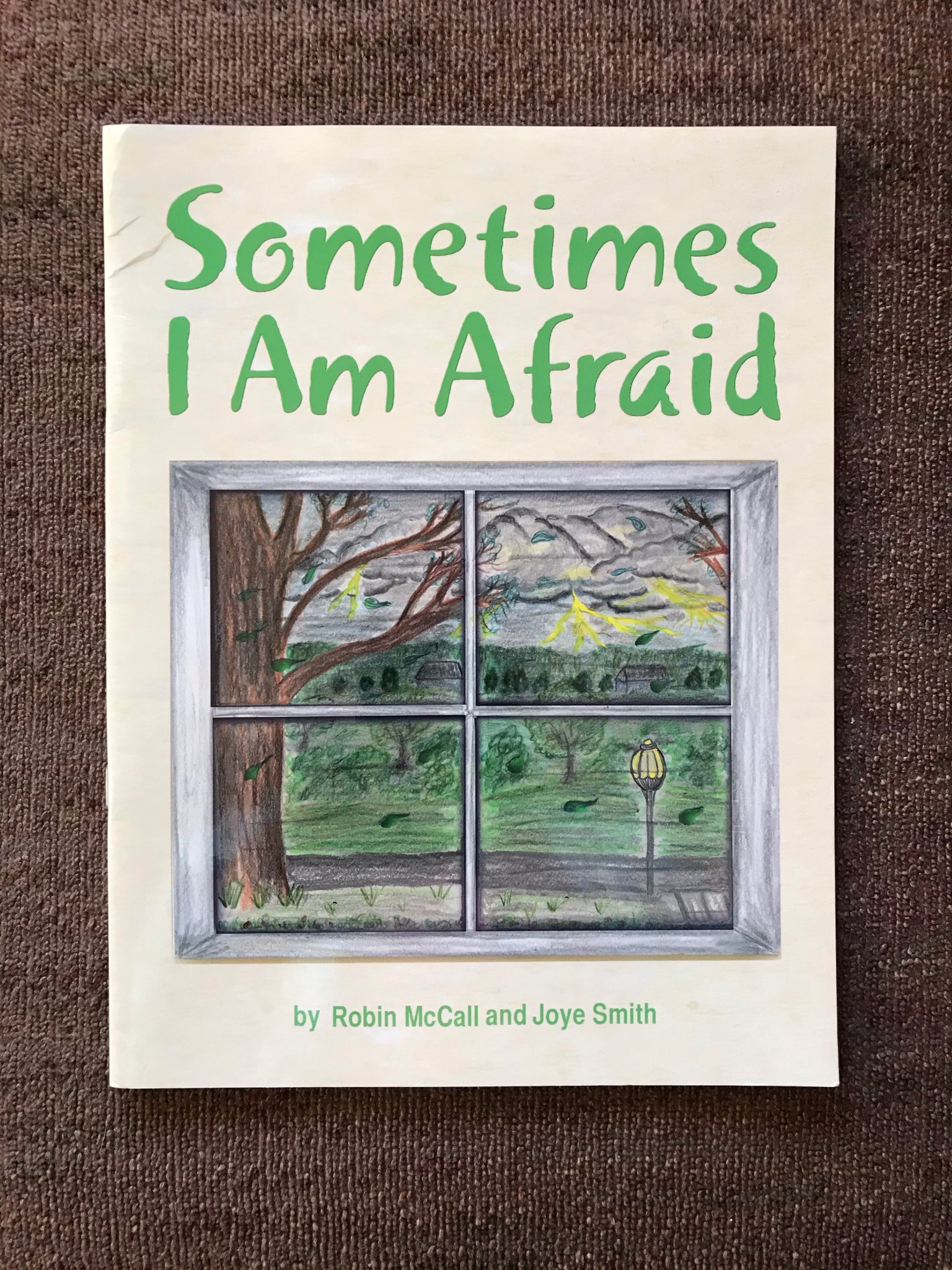 Book Review: Sometimes I Am Afraid by Robin McCall and Joye Smith ...