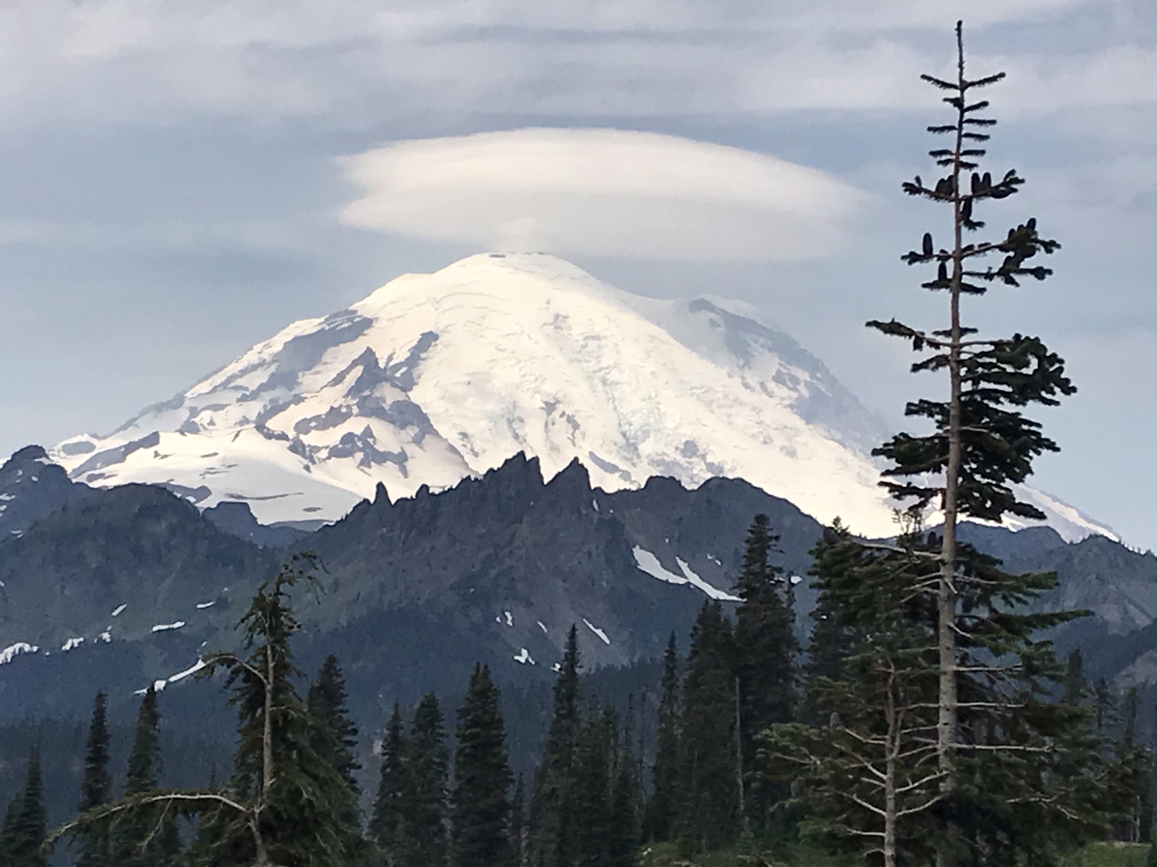 Haiku Moment: crowned | Love, Laughter, and Life