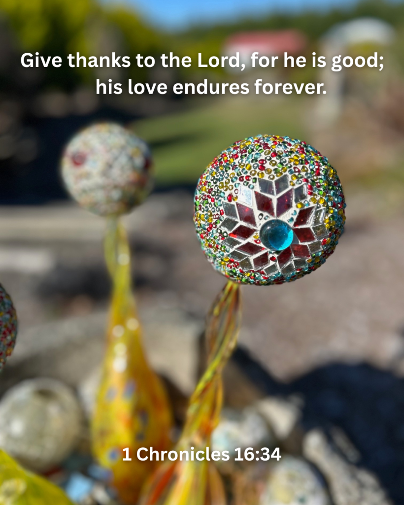 Sunday Thanksgiving | Love, Laughter, and Life